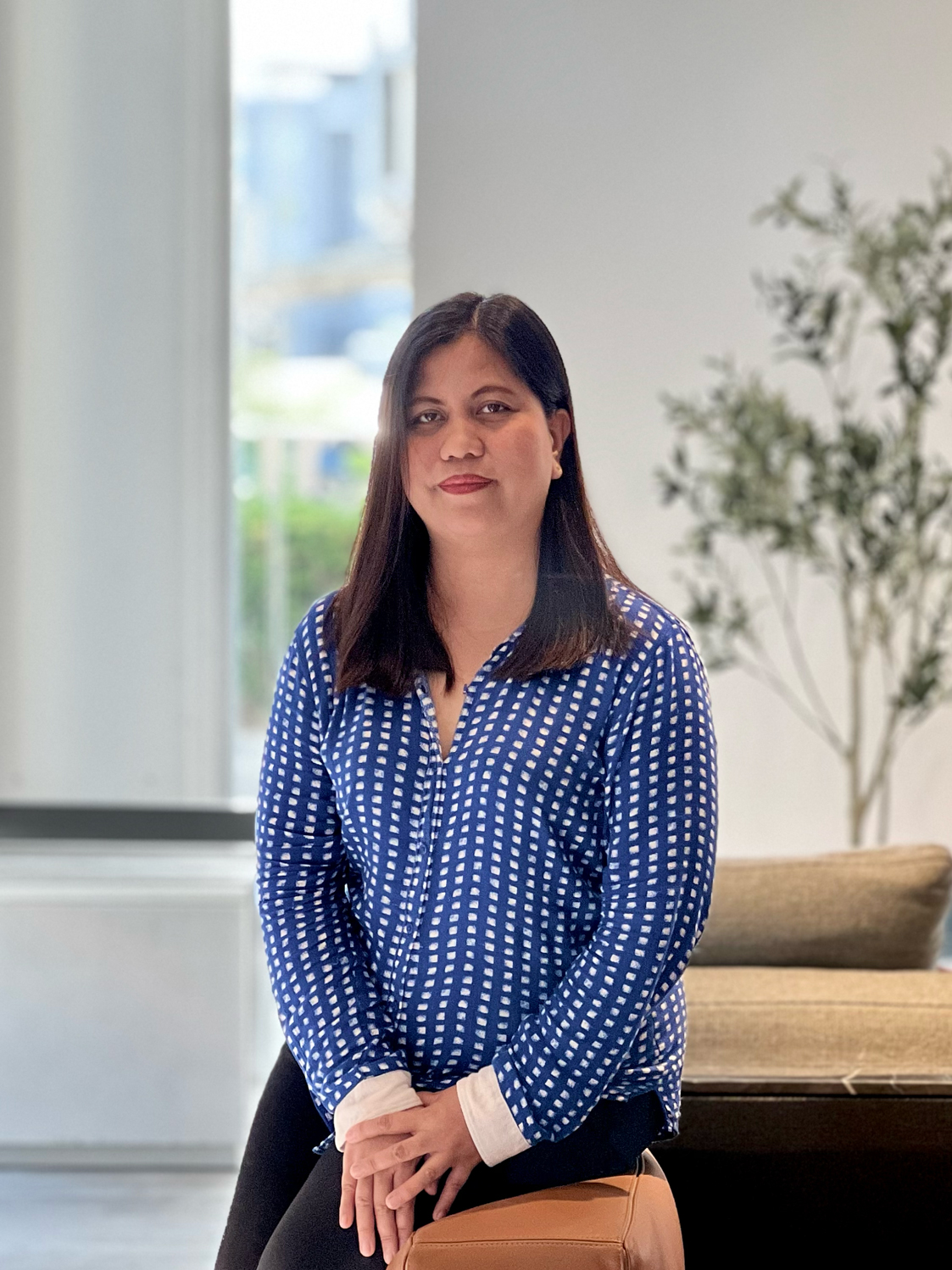 Luxe Development | Alma A. Pareja